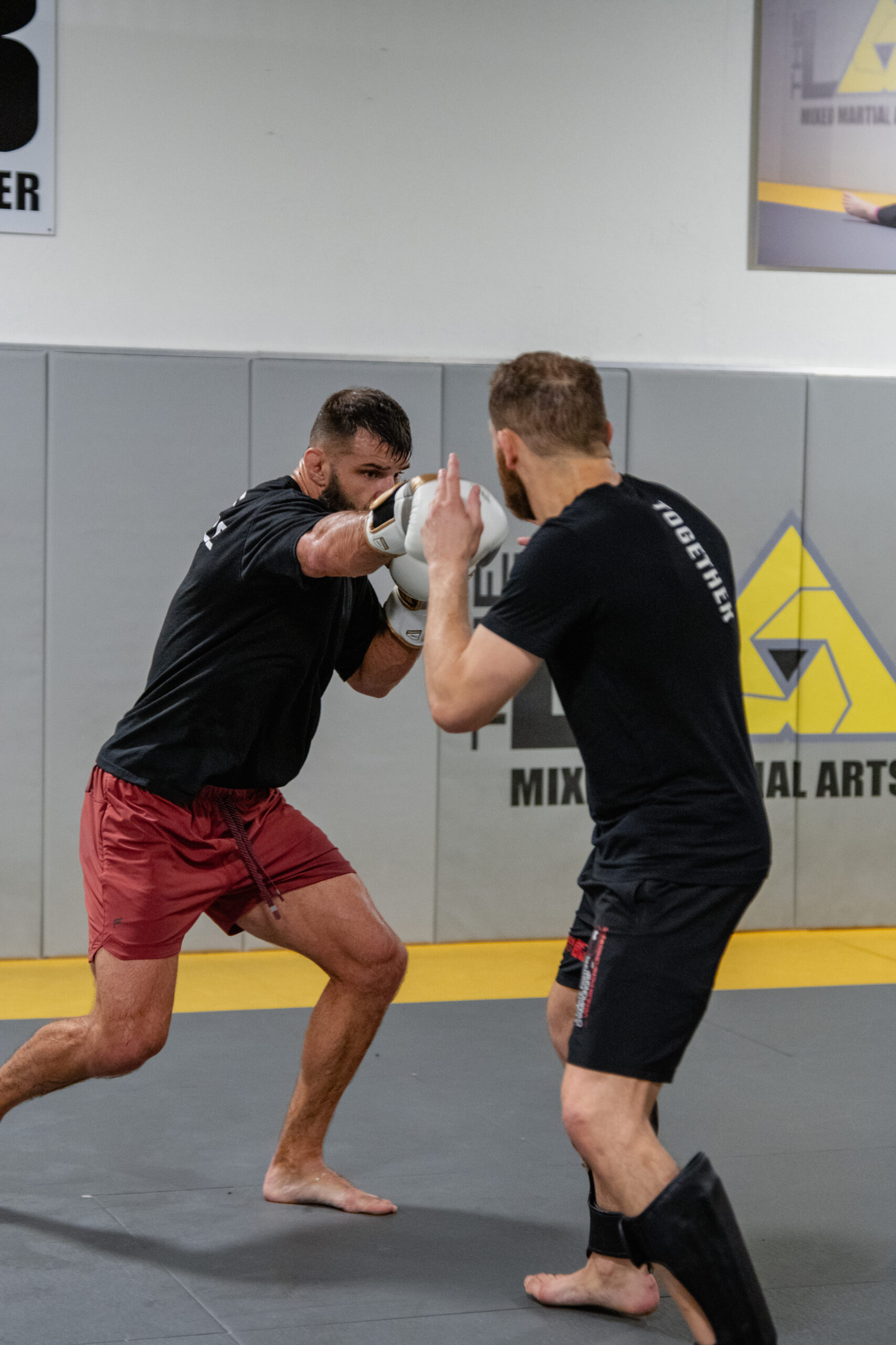 The MMA Lab – The #1 Martial Arts Training Facility in Arizona