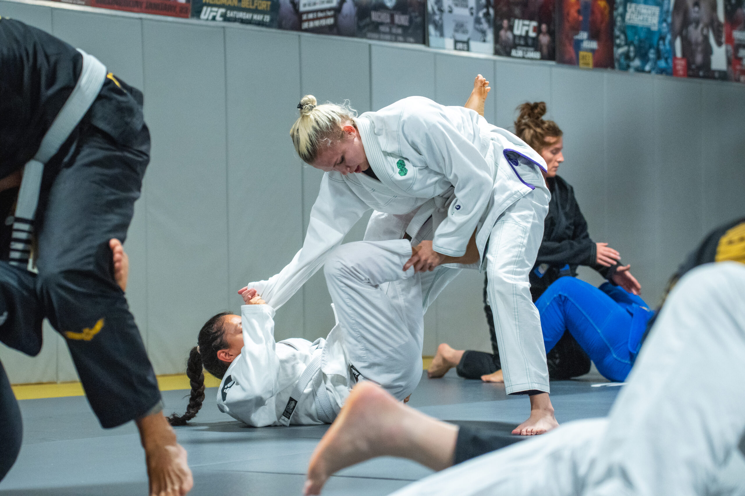 Programs – The MMA Lab