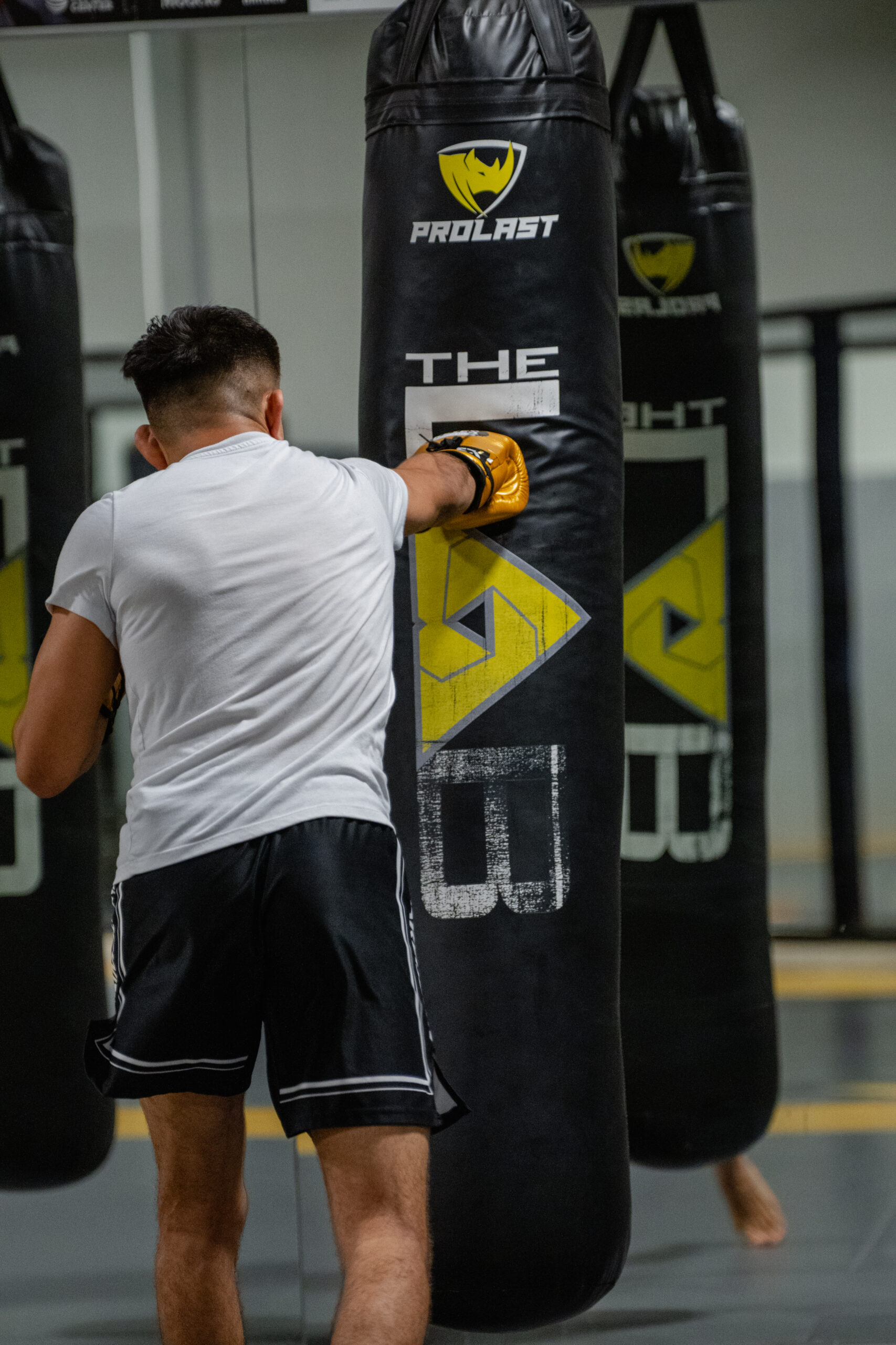 Programs – The MMA Lab